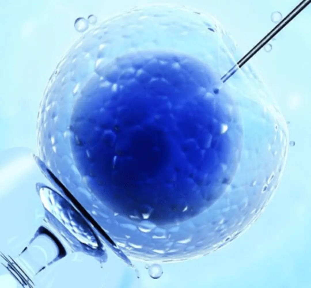 PGD - Pre-Implantation Genetic Diagnosis | Gender Selection